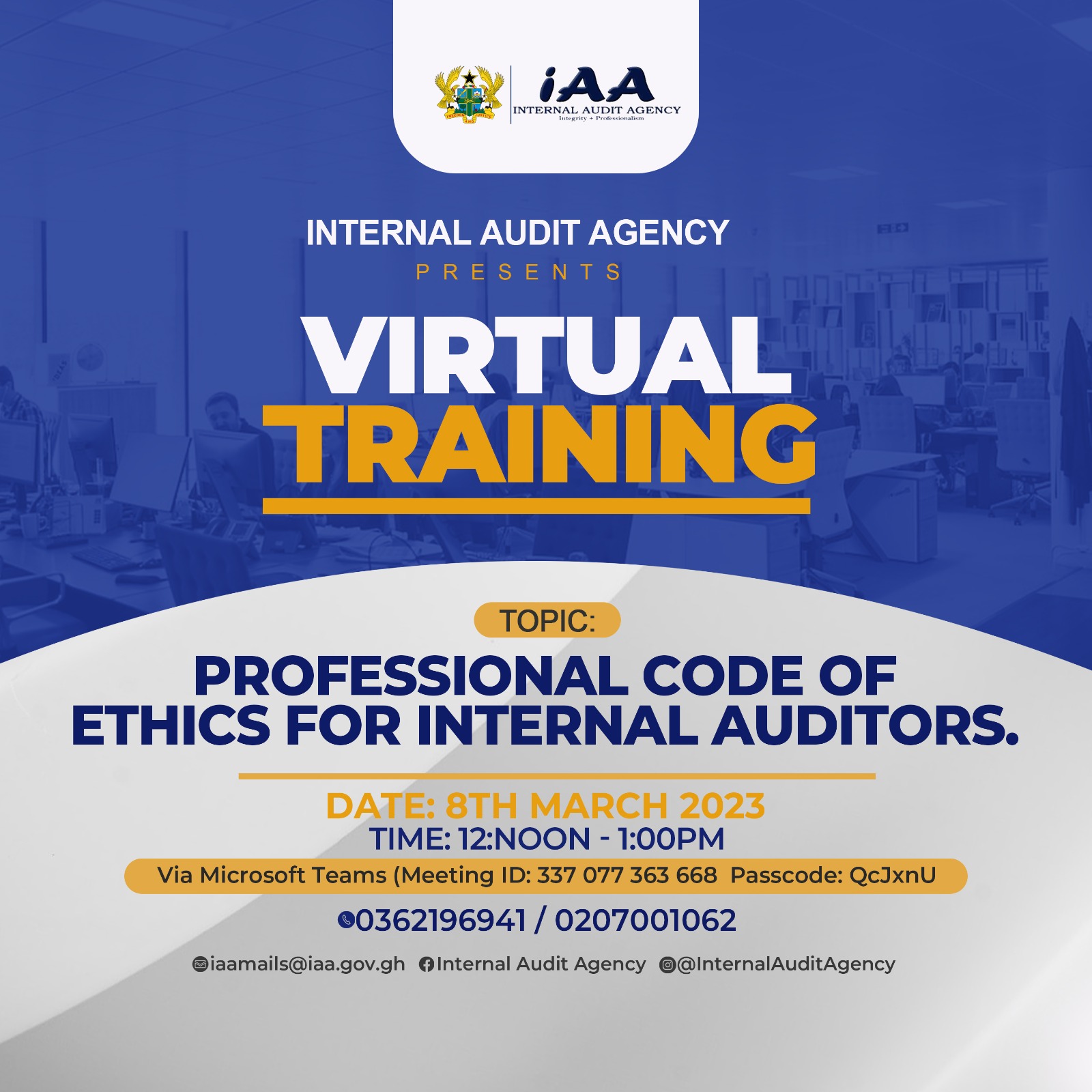 Virtual TrainingFlyer | Internal Audit Agency